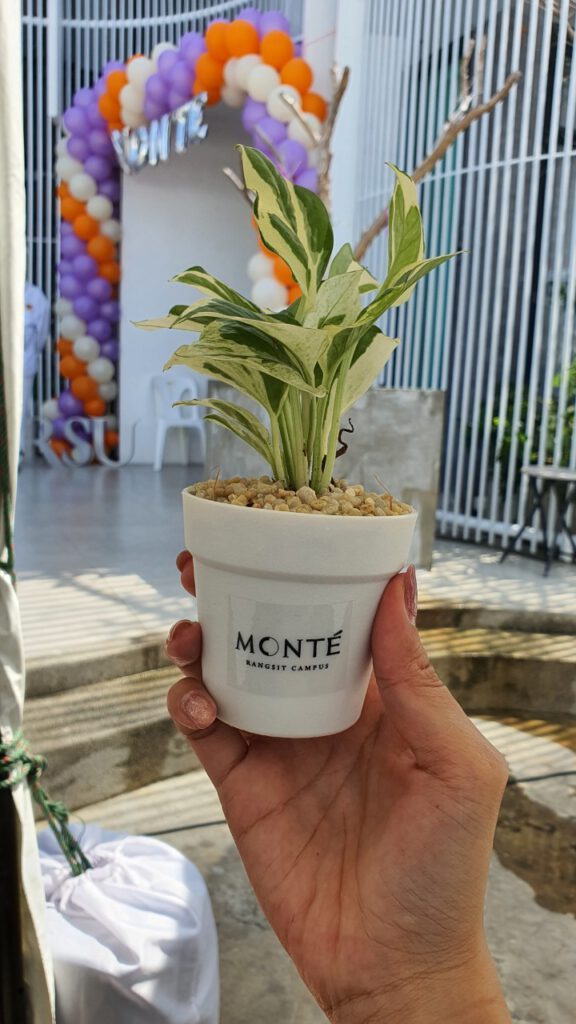 ภาพบรรยากาศงาน Pre-sale Monte' Rangsit Campus - CapitalG